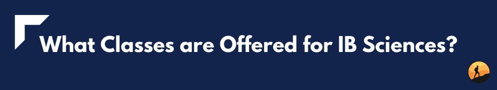 The Ultimate IB Classes List [2021] | Conquer Your Exam