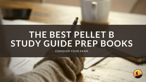 The 4 Best Pellet B Study Guide Prep Books [2024] | Conquer Your Exam