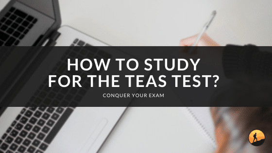 How to Study for the TEAS Test? | Conquer Your Exam