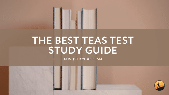 The 5 Best TEAS Test Study Guide [For 2024] | Conquer Your Exam