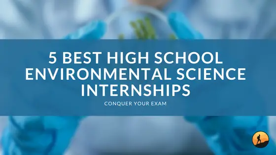 5 Best High School Environmental Science Internships | Conquer Your Exam